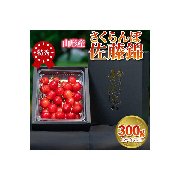 ■お礼品詳細　・配送方法：冷蔵　・事業者名：株式会社アンスリーファーム■お申し込み・配送・その他　・発送時期：2026年06月15日頃〜2026年06月30日頃※状況により配送時期が前後する場合がございます。(着日指定不可) ※山形市では仕...