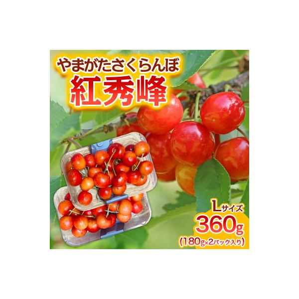 ■お礼品詳細　・配送方法：冷蔵　・事業者名：山形多田青果株式会社■お申し込み・配送・その他　・発送時期：2026年06月20日頃〜2026年07月15日頃※状況により配送時期が前後する場合がございます。(着日指定不可) ※山形市では仕様上、...