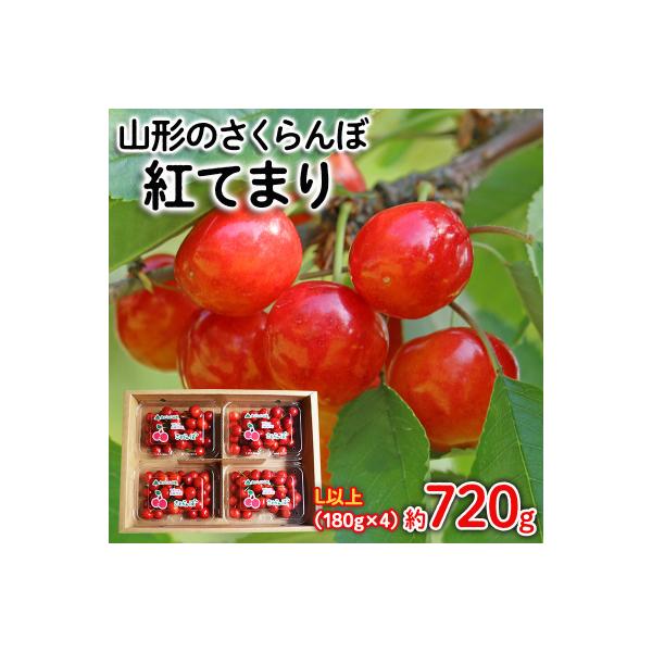 ■お礼品詳細　・配送方法：冷蔵　・事業者名：株式会社スプリングス■お申し込み・配送・その他　・発送時期：2026年06月15日頃〜2026年07月15日頃※状況により配送時期が前後する場合がございます。(着日指定不可) ※山形市では仕様上、...