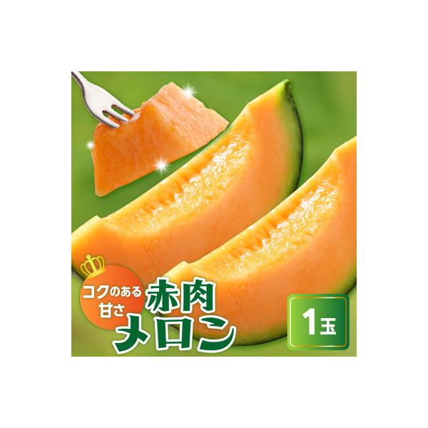 ■お礼品詳細　・提供事業者：五十嵐ファーム■お申し込み・配送・その他　・発送時期：2026年7月中旬〜8月中旬頃発送予定 ※生育状況によって前後する場合がございます。 ※着日指定はお受けしておりません。着日指定をいただいた場合でも、ご要望を...
