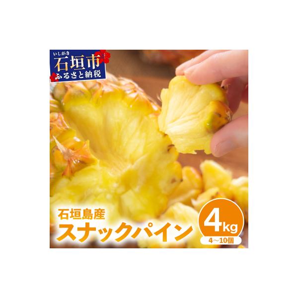 ■お礼品詳細■お申し込み・配送・その他　・発送時期：2026年4月中旬から順次発送いたします。（お届け時間帯指定可）　・申込受付期間：通年　・配達外のエリア：　・寄付証明書の送付時期目安：申込完了日から２週間程度　・提供元：石垣市