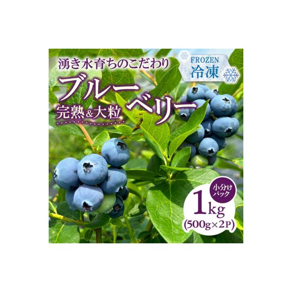■お礼品詳細　・提供元：ブルーベリーガーデンcoicoi　・商品番号：6549-30075601　・配送方法：冷凍便■お申し込み・配送・その他　・発送時期：2026年6月下旬頃より順次発送予定　・申込受付期間：通年　・配達外のエリア：　・寄...