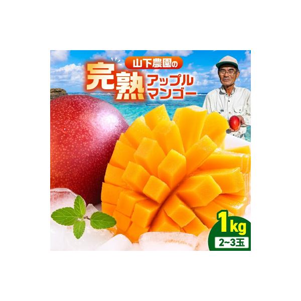 ■お礼品詳細　・内容量：完熟アップルマンゴー1kg（2〜3玉）　・原材料名：マンゴー　・原材料産地：沖永良部島　・配送方法：冷蔵　・賞味期限：到着後7日間 ※お早めにお召し上がりください。　・地場産品基準：和泊町で生産された返礼品 （告示第...