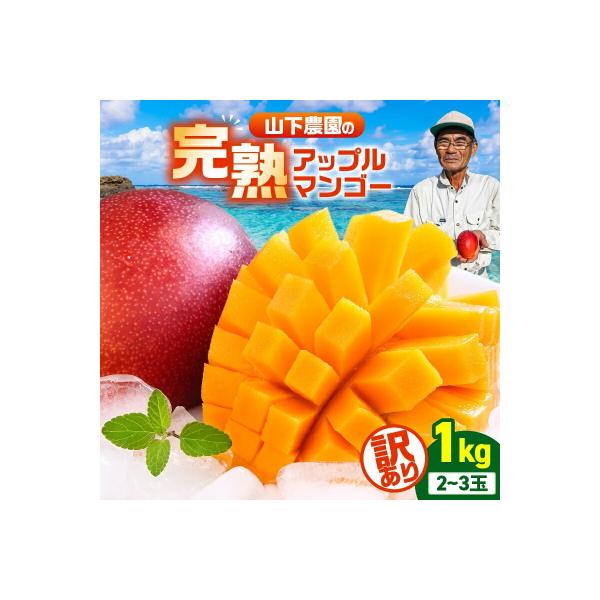 ■お礼品詳細　・内容量：【訳あり】完熟アップルマンゴー 1kg（2〜3玉）　・原材料名：マンゴー　・原材料産地：沖永良部島　・配送方法：冷蔵　・賞味期限：到着後7日間 ※お早めにお召し上がりください。　・地場産品基準：和泊町で生産された返礼...