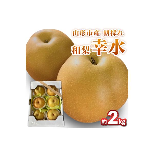 ■お礼品詳細　・配送方法：常温　・事業者名：株式会社山美ファーム ■お申し込み・配送・その他　・発送時期：2026年08月25日頃〜2026年09月23日頃※状況により配送時期が前後する場合がございます。(着日指定不可)※山形市では仕様上、...