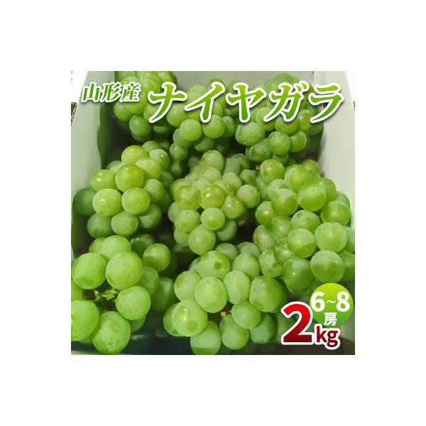 ■お礼品詳細　・配送方法：冷蔵　・事業者名：ヤマイチ青果株式会社 ■お申し込み・配送・その他　・発送時期：2026年08月25日頃〜2026年09月15日頃※状況により配送時期が前後する場合がございます。(着日指定不可)※山形市では仕様上、...
