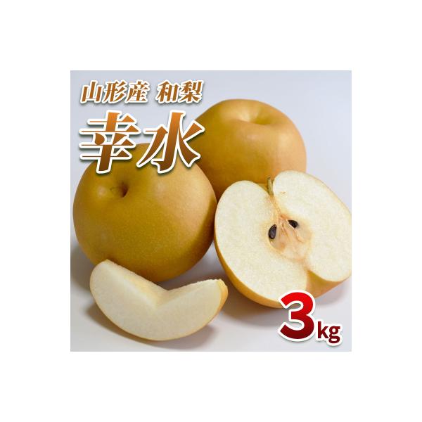 ■お礼品詳細　・配送方法：常温　・事業者名：ヤマイチ青果株式会社 ■お申し込み・配送・その他　・発送時期：2026年09月01日頃〜2026年09月30日頃※状況により配送時期が前後する場合がございます。(着日指定不可)※山形市では仕様上、...