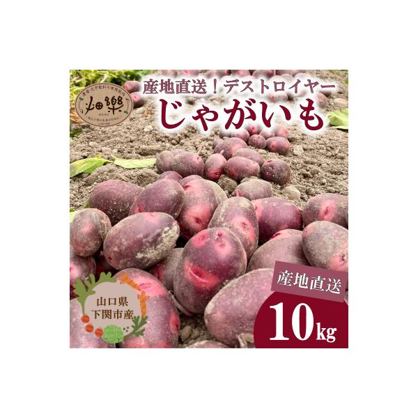 ■お礼品詳細　・【消費期限】：2月下旬まで ※2月下旬頃になると芽が出てきますが、取り除いていただくと食べられます。　・【保存方法】：25度以下の暗所(例:エアコンの効いた空間のダンボールの中等)で保管を勧めます。　・【配送方法】：常温便■...