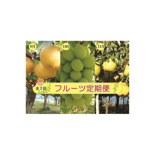 ■お礼品詳細　・配送方法：通常便　・事業者：アルコアーナ農園■お申し込み・配送・その他　・発送時期：◆和梨:2026年9月頃(常温)◆シャインマスカット:2026年10月頃(常温)◆ラ・フランス:2026年11月頃(常温)※ご不在日が多く配...