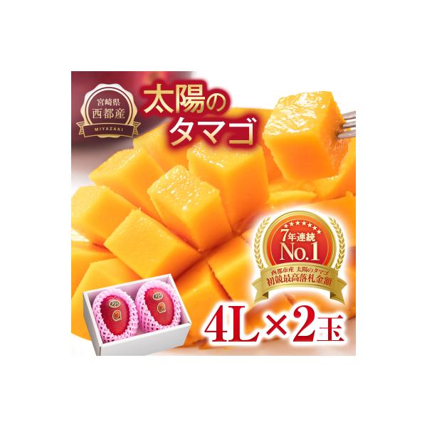 ■お礼品詳細　・内容量：4Lサイズ（500g〜）×2玉　・消費期限：発送から1週間程度（冷蔵庫に保管の上お早目にお召し上がりください）　・発送方法：冷蔵便　・提供事業者：株式会社デイリーマーム■お申し込み・配送・その他　・発送時期：令和8年...