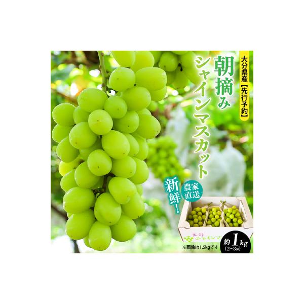 ■お礼品詳細　・容量：国東市産シャインマスカット約1kg(2〜3房）　・消費期限：出荷日+5日間　※青果物の為、到着後はお早めにお召し上がりください　・アレルギー：特定原材料8品目は使用していません 特定原材料に準ずるもの20品目は使用して...