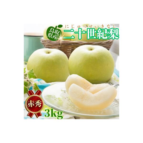 ■お礼品詳細　・内容量：二十世紀梨〔等級〕赤秀〔容量〕3kg（7〜9玉）　・賞味期限：出荷日から冷蔵7日程度　・配送方法：通常　・事業者名：こおげフレンドセンター■お申し込み・配送・その他　・発送時期：2026年9月1日頃から20日頃にかけ...