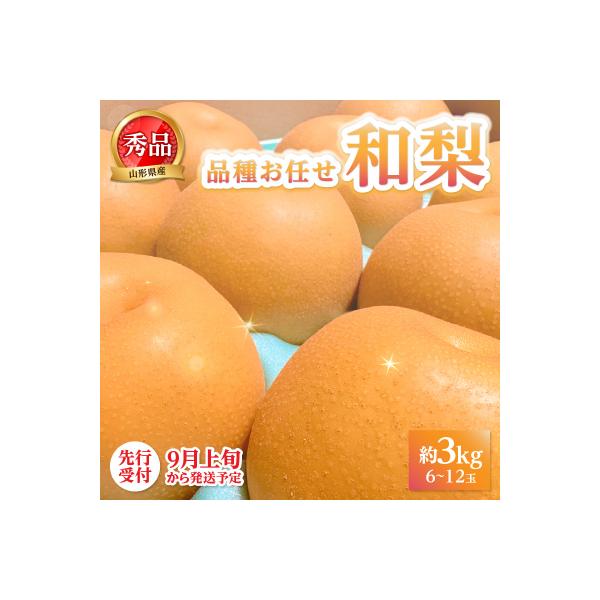 ■お礼品詳細　・配送方法：冷蔵便　・提供事業者：佐竹物産株式会社■お申し込み・配送・その他　・発送時期：出荷時期:2026年9月頃から順次発送予定（お届け時間帯指定可）　・申込受付期間：期間限定:2026年8月31日まで　・配達外のエリア：...