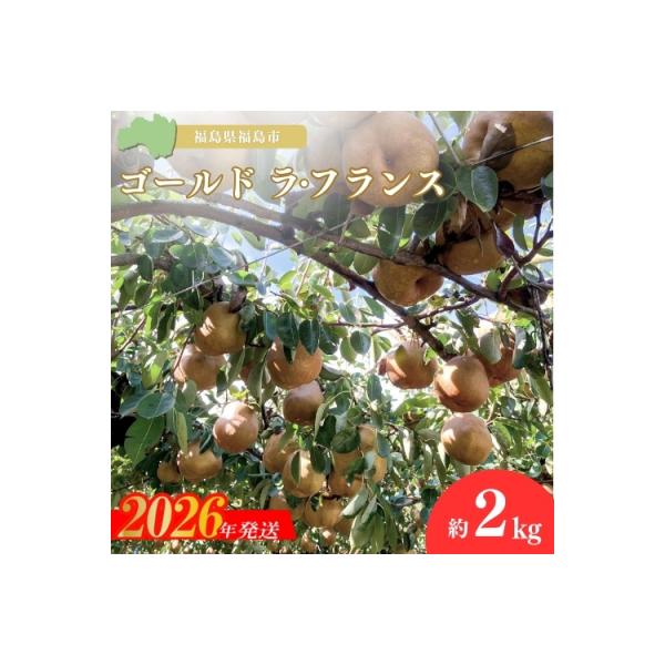 ■お礼品詳細　・事業者：ヤマ孝 紺野果樹園　・内容量：約2kg(6〜7玉)　・賞味期限：冷蔵庫で1週間程度　・配送方法：通常便■お申し込み・配送・その他　・発送時期：2026年11月上旬から2026年11月中旬発送予定（お届け時間帯指定可）...