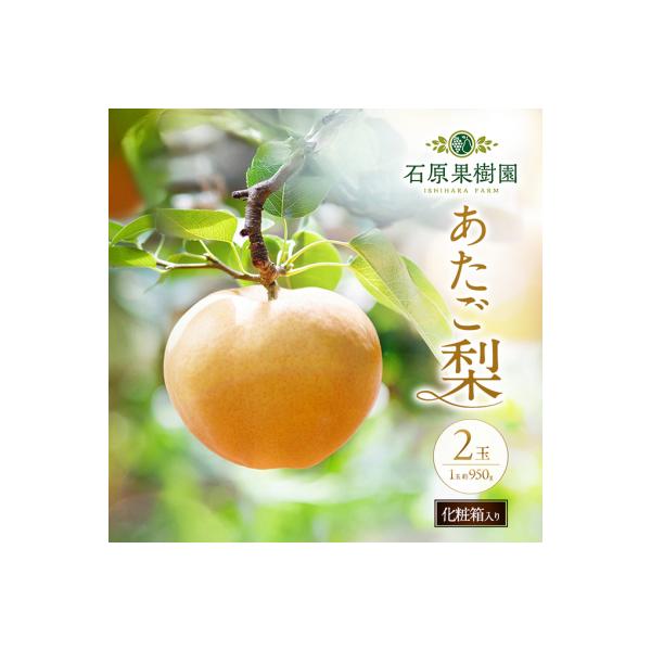 ■お礼品詳細　・内容量：あたご梨 約950g×2玉 岡山県内産（5条8号ハ）　・賞味期限：出荷日より常温7日（冷暗所で保管してください）　・配送方法：常温配送　・事業者：石原果樹園　・備考：お届け日の指定、時間帯の指定は申し訳ないですが、お...