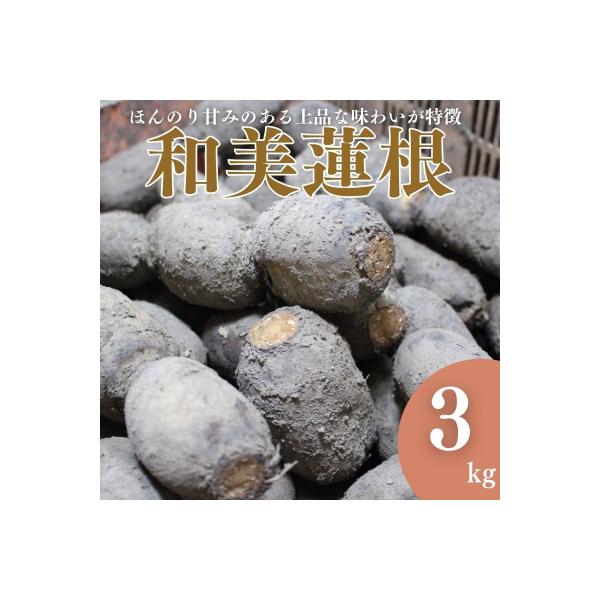 ■お礼品詳細　・地場産品基準番号：1　・地場産品に該当する理由：市内で栽培された農産物(蓮根)であるため。　・返礼品提供事業者：特定非営利活動法人とらいアンぐる　・配送方法：常温■お申し込み・配送・その他　・発送時期：出荷準備でき次第、順次...