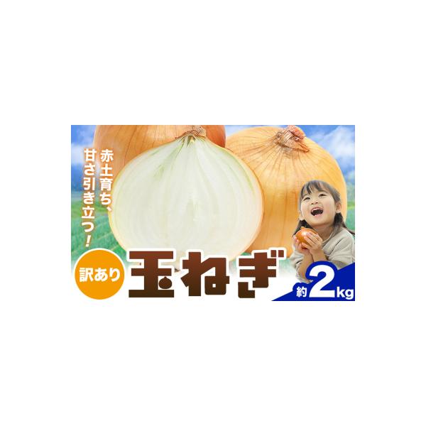 ■お礼品詳細■お申し込み・配送・その他　・発送時期：2026年4月下旬-6月上旬頃出荷（お届け時間帯指定可）　・申込受付期間：5月上旬頃まで(予定数量に達し次第受付終了)　・配達外のエリア：　・寄付証明書の送付時期目安：申込完了日から２週間...