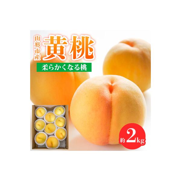 ■お礼品詳細　・配送方法：冷蔵　・事業者名：株式会社山美ファーム　・アレルギー情報：もも■お申し込み・配送・その他　・発送時期：2026年08月19日頃〜2026年09月20日頃※状況により配送時期が前後する場合がございます。(着日指定不可...