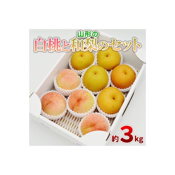 ■お礼品詳細　・配送方法：冷蔵　・事業者名：山形うまいずマーケット　・アレルギー情報：もも■お申し込み・配送・その他　・発送時期：2026年09月01日頃〜2026年09月25日頃※状況により配送時期が前後する場合がございます。(着日指定不...