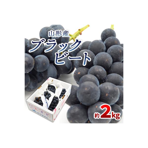 ■お礼品詳細　・配送方法：冷蔵　・事業者名：山形うまいずマーケット■お申し込み・配送・その他　・発送時期：2026年08月15日頃〜2026年09月15日頃※状況により配送時期が前後する場合がございます。(着日指定不可)※山形市では仕様上、...