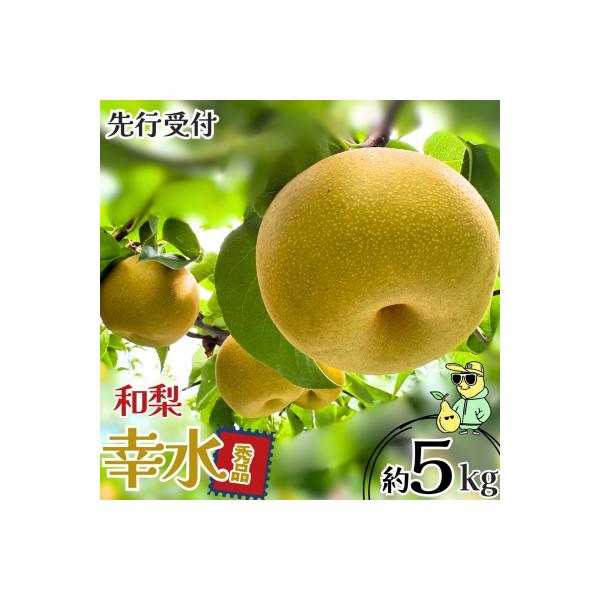 ■お礼品詳細　・事業者：三条ファームWIN　・地場産品基準：1 三条市内において生産されているため。■お申し込み・配送・その他　・発送時期：8月中旬〜9月上旬頃 ※天候や生育状況により、発送開始・終了時期が前後する場合がございます。 ※お申...