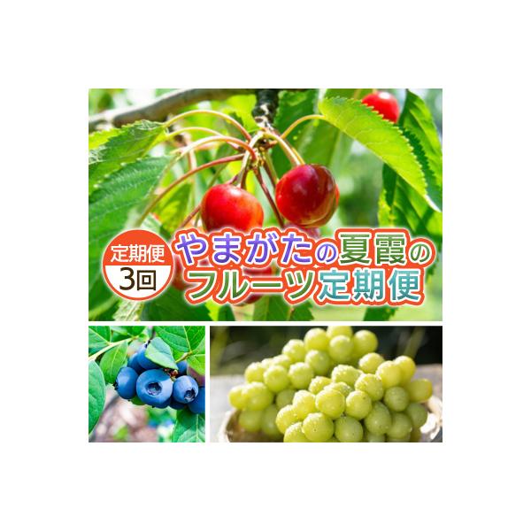 ■お礼品詳細　・配送方法：冷蔵　・事業者名：合同会社C&amp;P■お申し込み・配送・その他　・発送時期：2026年06月15日頃〜2026年09月30日頃※状況により配送時期が前後する場合がございます。(着日指定不可)※山形市では仕様上、...