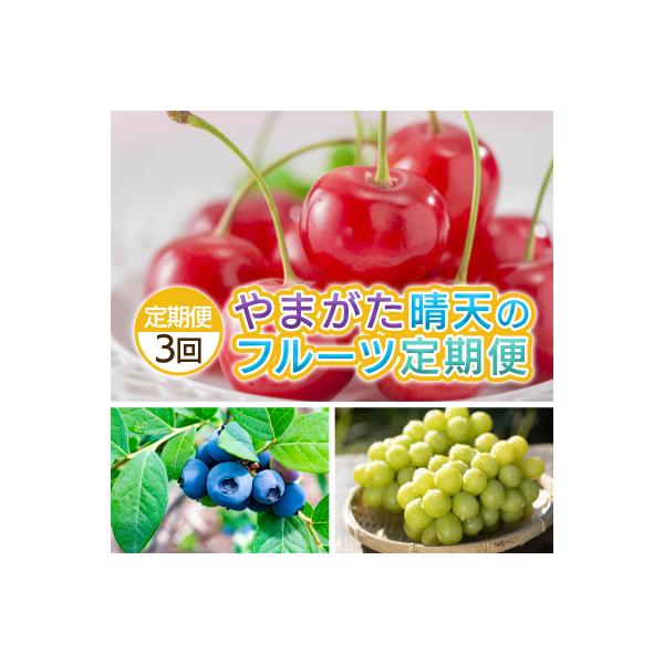 ■お礼品詳細　・配送方法：冷蔵　・事業者名：合同会社C&amp;P■お申し込み・配送・その他　・発送時期：2026年06月15日頃〜2026年09月30日頃※状況により配送時期が前後する場合がございます。(着日指定不可)※山形市では仕様上、...