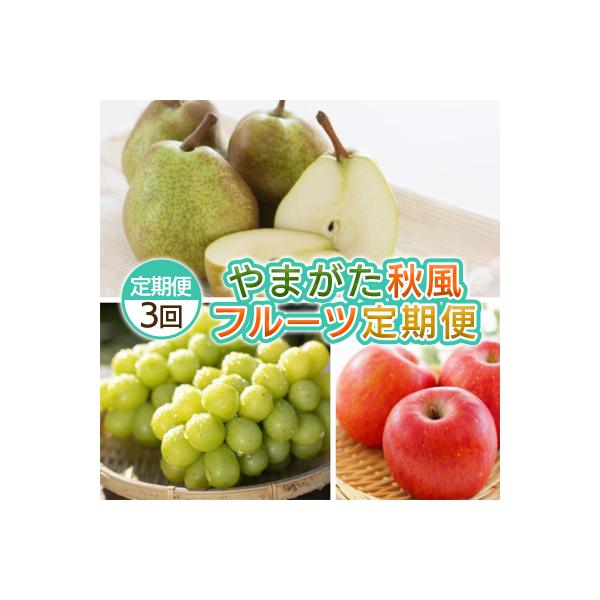 ■お礼品詳細　・配送方法：常温・冷蔵　・事業者名：合同会社C&amp;P　・アレルギー情報：りんご■お申し込み・配送・その他　・発送時期：2026年10月01日頃〜2026年12月31日頃※状況により配送時期が前後する場合がございます。(着...