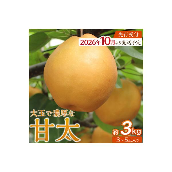 ■お礼品詳細　・賞味期限：出荷後7日程度暗冷所にて保管。高温になりやすい場合は野菜室保管をおすすめします　・発送種別：通常便　・事業者：松崎果樹園■お申し込み・配送・その他　・発送時期：2026年10月下旬〜11月上旬　・申込受付期間：〜 ...