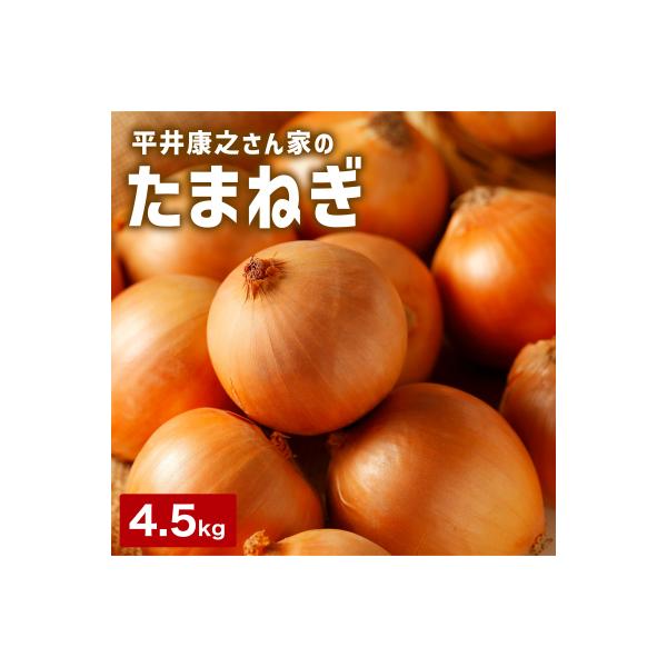 ■お礼品詳細　・内容量：玉ねぎ M玉 4.5kg　・賞味期限：約60日〜90日程度　・配送備考：通常便　・発送期日：ご入金確認後、順次発送いたします。 ※収穫の状況により前後する場合がございます。■お申し込み・配送・その他　・発送時期：順次...