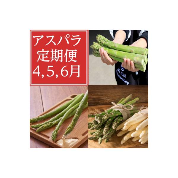 ■お礼品詳細　・配送種別：冷蔵便■お申し込み・配送・その他　・発送時期：【1回目】発送月の前月20日までのお支払いで発送月上旬より順次発送【2回目以降】発送月上旬より順次発送　・申込受付期間：〜2026-03-20　・配達外のエリア：離島　...