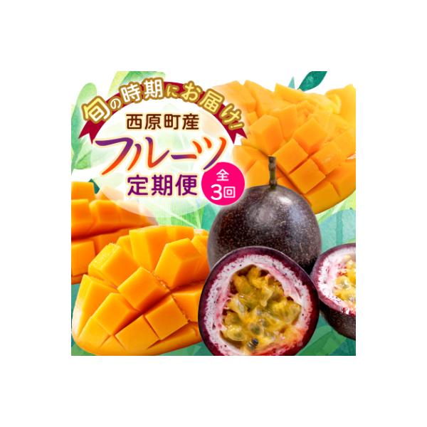 ■お礼品詳細　・配送種別：冷蔵便■お申し込み・配送・その他　・発送時期：【1回目】発送月の前月20日までのお支払いで発送月上旬より順次発送【2回目以降】発送月上旬より順次発送　・申込受付期間：〜2026-04-30　・配達外のエリア：離島　...