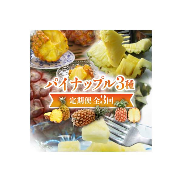 ■お礼品詳細　・配送種別：冷蔵便■お申し込み・配送・その他　・発送時期：【1回目】発送月の前月20日までのお支払いで発送月上旬より順次発送【2回目以降】発送月上旬より順次発送　・申込受付期間：通年　・配達外のエリア：離島　・寄付証明書の送付...