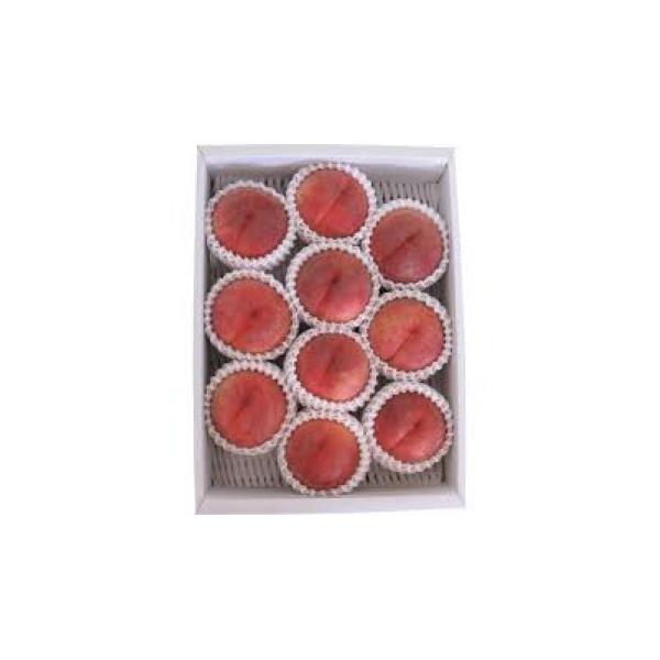 ■お礼品詳細　・配送種別：冷蔵便■お申し込み・配送・その他　・発送時期：【1回目】発送月の前月20日までのお支払いで発送月上旬より順次発送【2回目以降】発送月上旬より順次発送　・申込受付期間：2025-10-21〜2026-10-20　・配...