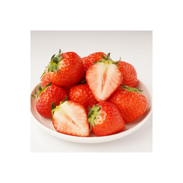 ■お礼品詳細　・配送種別：冷蔵便■お申し込み・配送・その他　・発送時期：【1回目】発送月の前月20日までのお支払いで発送月上旬より順次発送【2回目以降】発送月上旬より順次発送　・申込受付期間：通年　・配達外のエリア：離島、北海道、沖縄県　・...