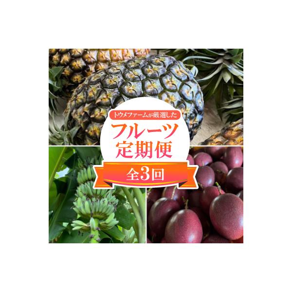 ■お礼品詳細　・配送種別：冷蔵便■お申し込み・配送・その他　・発送時期：【1回目】発送月の10日までのお支払いで発送月下旬より順次発送【2回目以降】発送月下旬より順次発送　・申込受付期間：〜2026-05-10　・配達外のエリア：離島　・寄...