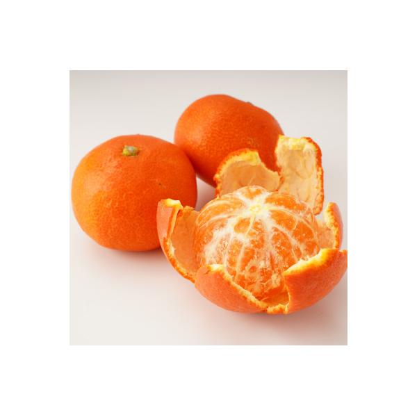 ■お礼品詳細　・配送種別：冷蔵便■お申し込み・配送・その他　・発送時期：【1回目】発送月の前月20日までのお支払いで発送月上旬より順次発送【2回目以降】発送月上旬より順次発送　・申込受付期間：〜2025-12-31　・配達外のエリア：離島、...