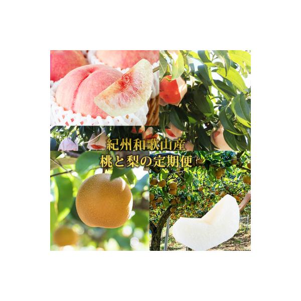 ■お礼品詳細　・配送種別：冷蔵便■お申し込み・配送・その他　・発送時期：【1回目】発送月の前月20日までのお支払いで発送月上旬より順次発送【2回目以降】発送月上旬より順次発送　・申込受付期間：通年　・配達外のエリア：離島、北海道、沖縄県　・...