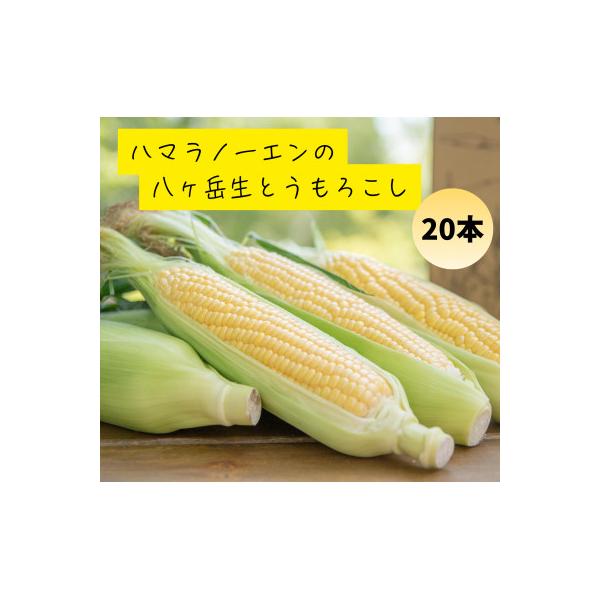 ■お礼品詳細　・配送種別：冷蔵便■お申し込み・配送・その他　・発送時期：2026-07-20〜2026-09-30※複数個口での配送となります。個口ごとに発送メールが配信されます。　・申込受付期間：〜2026-08-31　・配達外のエリア：...