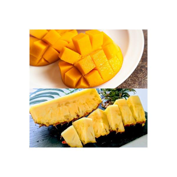 ■お礼品詳細　・配送種別：冷蔵便■お申し込み・配送・その他　・発送時期：【1回目】発送月の前月20日までのお支払いで発送月上旬より順次発送【2回目以降】発送月上旬より順次発送　・申込受付期間：〜2026-06-20　・配達外のエリア：離島　...