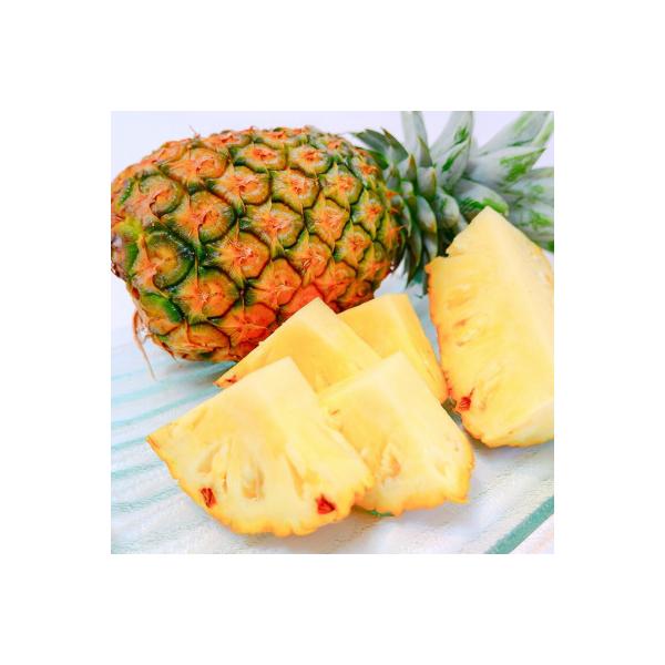 ■お礼品詳細　・配送種別：冷蔵便■お申し込み・配送・その他　・発送時期：【1回目】発送月の10日までのお支払いで発送月下旬より順次発送【2回目以降】発送月下旬より順次発送　・申込受付期間：〜2026-05-31　・配達外のエリア：離島　・寄...