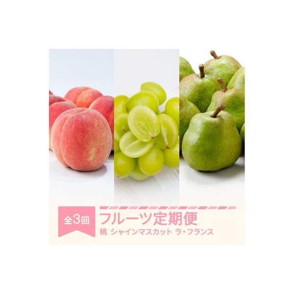 ■お礼品詳細　・配送種別：冷蔵便■お申し込み・配送・その他　・発送時期：【1回目】発送月の前月末日までのお支払いで発送月中旬より順次発送【2回目以降】発送月中旬より順次発送　・申込受付期間：〜2026-07-31　・配達外のエリア：離島、沖...