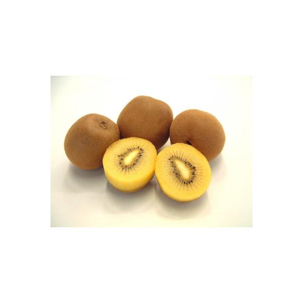 ■お礼品詳細　・配送種別：通常■お申し込み・配送・その他　・発送時期：【1回目】発送月の10日までのお支払いで発送月下旬より順次発送【2回目以降】発送月下旬より順次発送　・申込受付期間：通年　・配達外のエリア：離島、北海道、沖縄県　・寄付証...