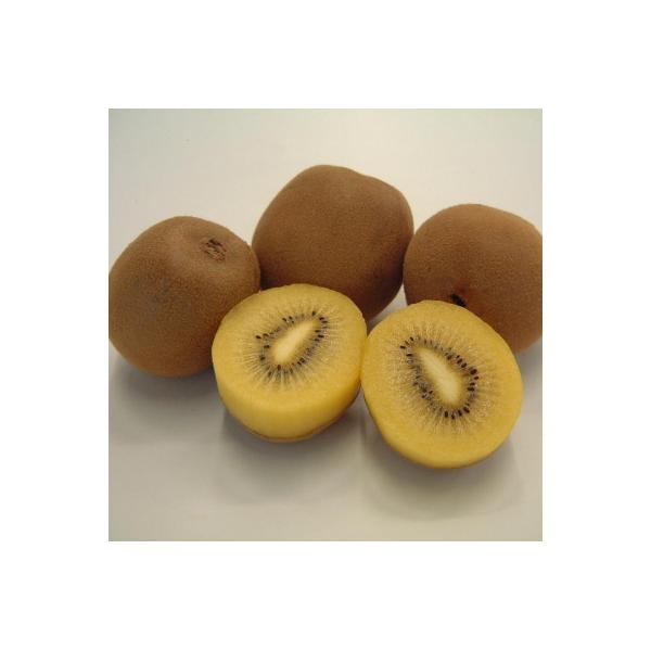 ■お礼品詳細　・配送種別：通常■お申し込み・配送・その他　・発送時期：【1回目】発送月の前月20日までのお支払いで発送月上旬より順次発送【2回目以降】発送月上旬より順次発送　・申込受付期間：〜2026-12-31　・配達外のエリア：離島、北...