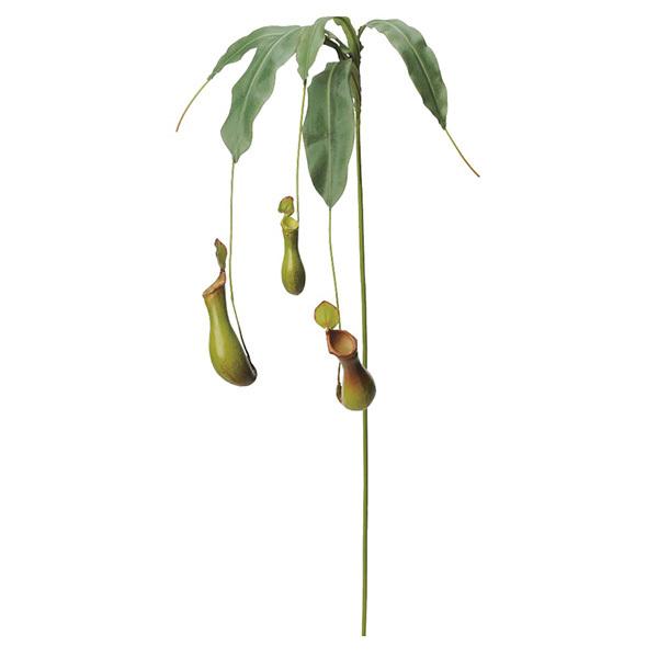 【商品サイズ】(素材)L120 ステム70 捕虫袋10~15 (ポリエステル・ポリエチレン)※単位は《cm》です( allp5 )(10_dras)( 15_asoh )2018ssasc( trop20211 )( trpcl ) アーテ...