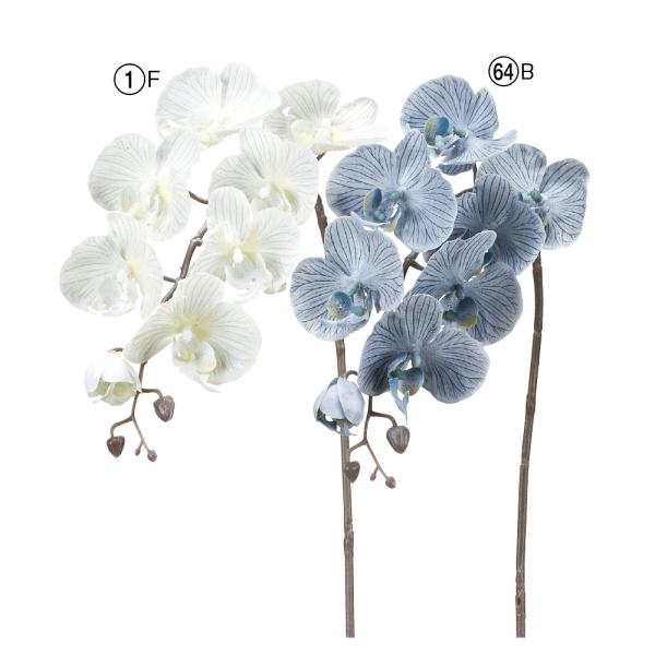 【商品仕様】(素材)全長75 房30 花径7 (プラスチックシート・ポリエチレン)※単位はセンチ( 2024asc )( 15_asoh )( piechid )( allp5 )【お伝えしたいこと】※商品名の×(数字)は商品1点に含まれる...