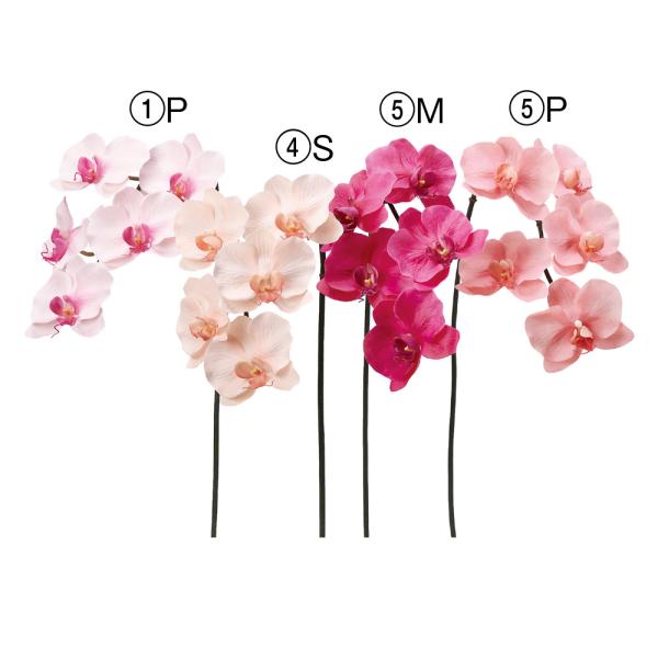 【商品仕様】(素材)全長73 房24 花径10 (プラスチックシート・プラスチック)※単位はセンチ( 2024asc )( 15_asoh )( piechid )( allp5 )【お伝えしたいこと】※商品名の×(数字)は商品1点に含まれ...