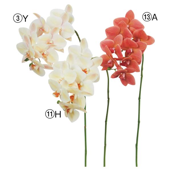 【商品仕様】(素材)全長60 房20 花径7.5 (プラスチックシート・ポリエチレン)※単位はセンチ(2024AWasc)( sprngflw )( 15_asoh )( allp5 )( nwyrslk )【お伝えしたいこと】※商品名の×...