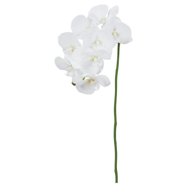 【商品仕様】(素材)全長57房20花径6(ポリエステル・ポリエチレン・樹脂コート)※単位はcmです( asc2025 )( allp5 )( 15asoh )【お伝えしたいこと】※商品名の×(数字)は商品1点に含まれる花やつぼみの輪数です。...