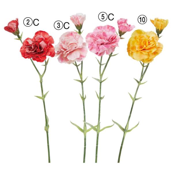 【商品仕様】(素材)全長30花径3〜6(ポリエステル・ポリエチレン・樹脂コート)※単位はcmです( asc2025 )( allp5 )( 15asoh )【お伝えしたいこと】※商品名の×(数字)は商品1点に含まれる花やつぼみの輪数です。(...